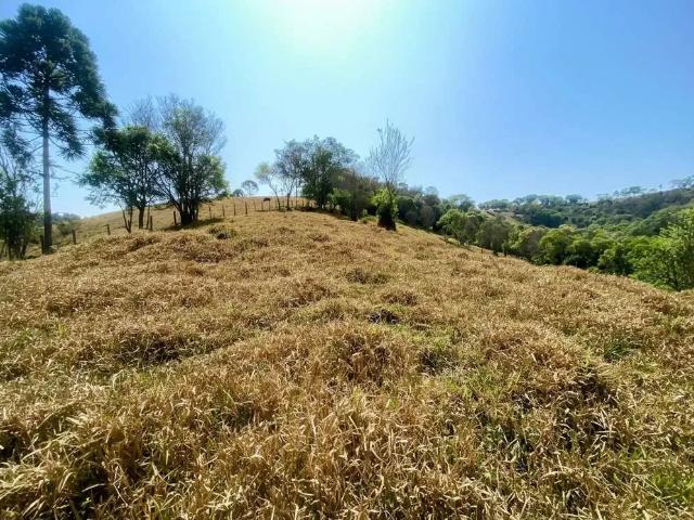 Sítio / Chácara para Venda em Bandeira do Sul/MG Zona Rural