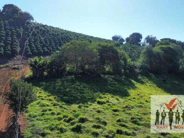 Sítio / Chácara para Venda em Bandeira do Sul/MG Centro 6 Quartos