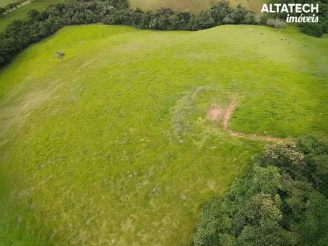 Sítio / Chácara para Venda em Bandeira do Sul/MG Zona Rural