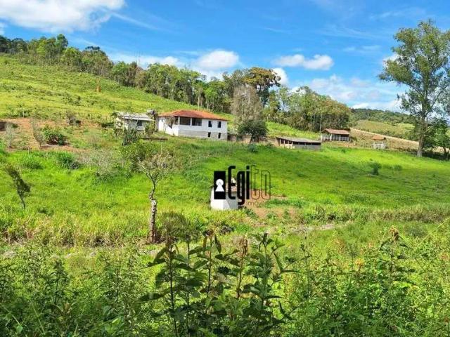 Sítio / Chácara para Venda em Barbacena/MG Área Rural de Barbacena