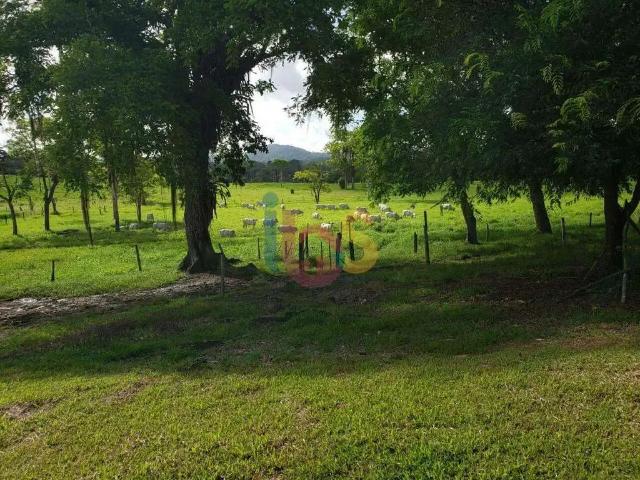 Sítio / Chácara para Venda em Barro Preto/BA Zona Rural