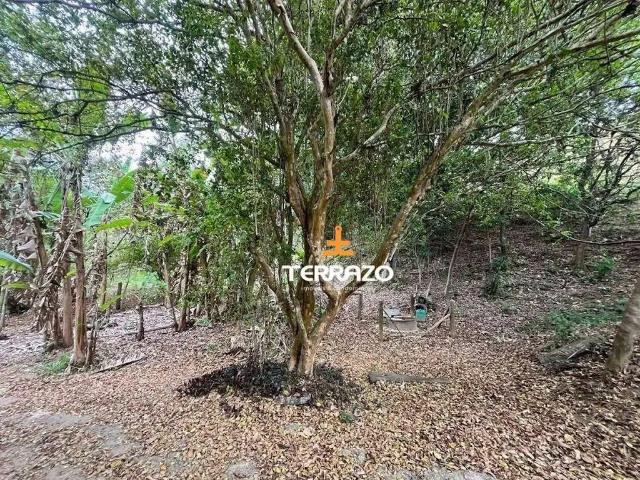 Sítio / Chácara para Venda em Barra do Piraí/RJ Califórnia 1 Quartos