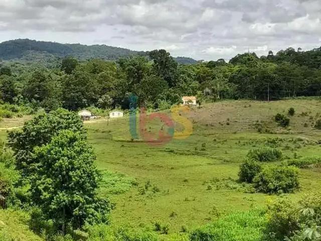 Sítio / Chácara para Venda em Barra do Rocha/BA Zona rural