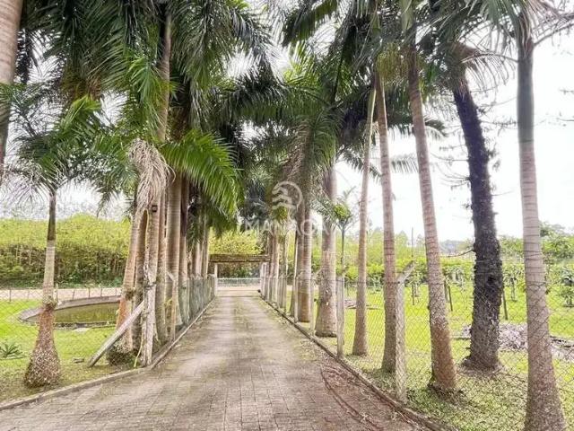 Sítio / Chácara para Venda em Barra Velha/SC Itajubá 5 Quartos
