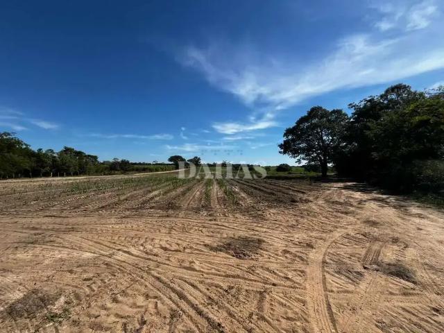 Sítio / Chácara para Venda em Barretos/SP Área Rural de Barretos
