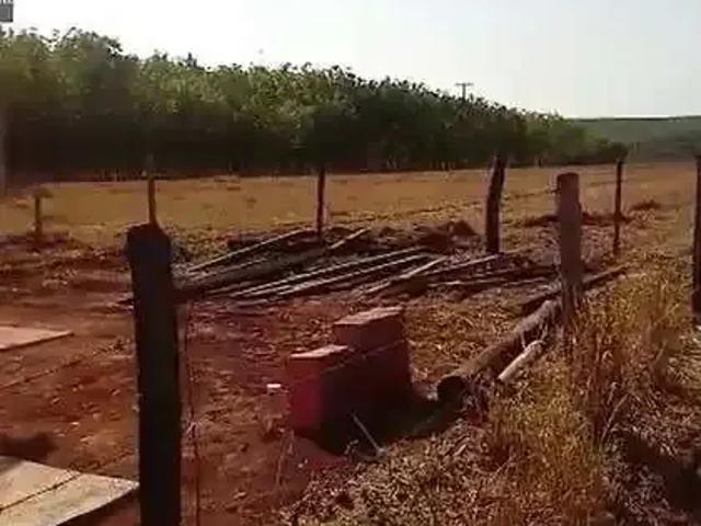 Sítio / Chácara para Venda em Barretos/SP Área Rural de Barretos