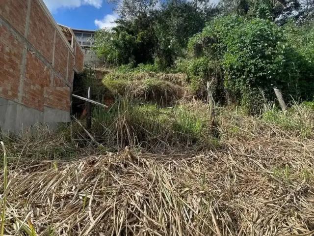 Sítio / Chácara para Venda em Betim/MG Jardim Casa Branca