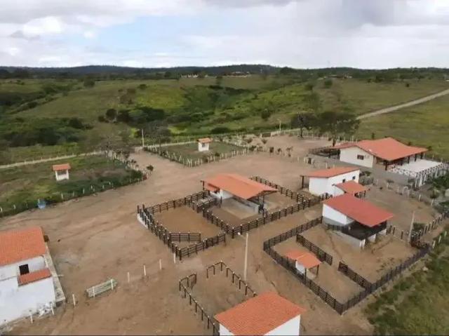 Sítio / Chácara para Venda em Bezerros/PE Centro 3 Quartos