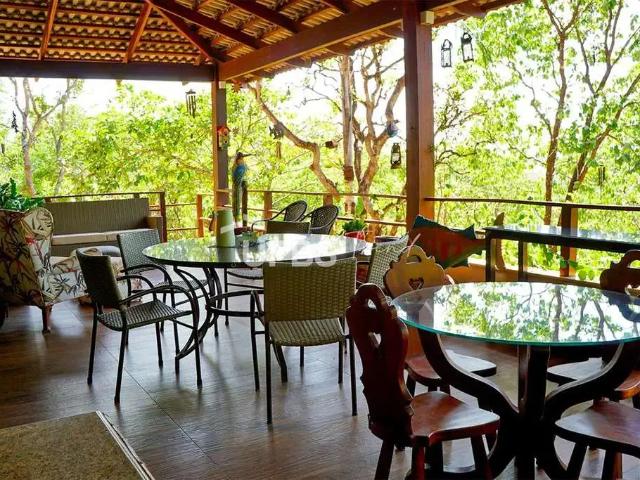 Sítio / Chácara para Venda em Bela Vista de Goiás/GO Centro 5 Quartos