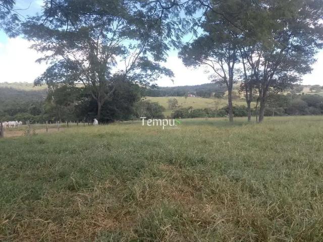 Sítio / Chácara para Venda em Bela Vista de Goiás/GO Centro