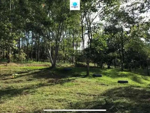 Sítio / Chácara para Venda em Bela Vista de Goiás/GO Centro 3 Quartos