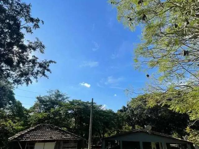 Sítio / Chácara para Venda em Bela Vista de Goiás/GO Zona Rural 3 Quartos