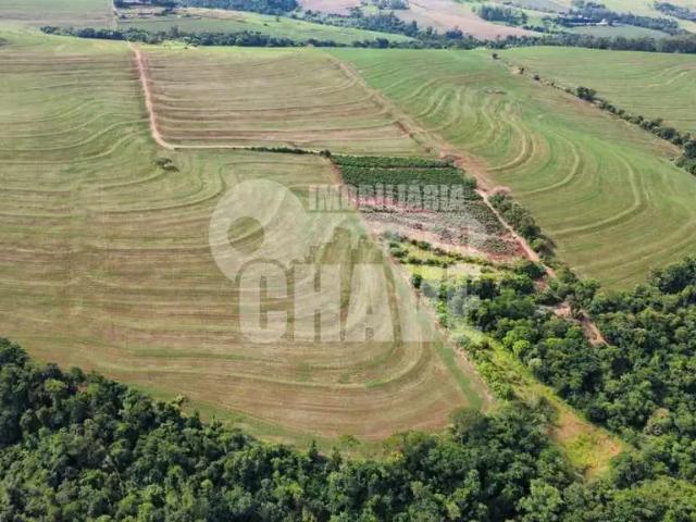 Sítio / Chácara para Venda em Bela Vista do Paraíso/PR Zona Rural