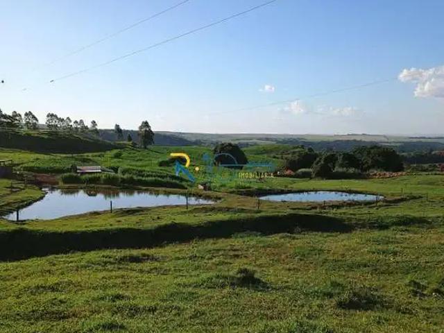 Sítio / Chácara para Venda em Bela Vista do Paraíso/PR Zona Rural
