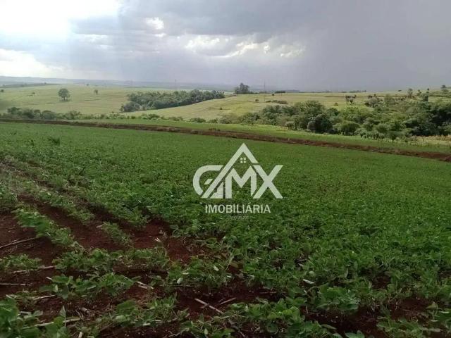 Sítio / Chácara para Venda em Bela Vista do Paraíso/PR Zona Rural