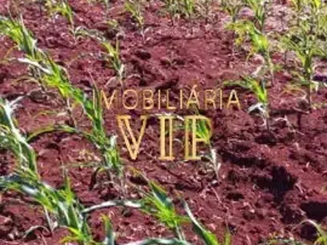 Sítio / Chácara para Venda em Bela Vista do Paraíso/PR Zona Rural 1 Quartos