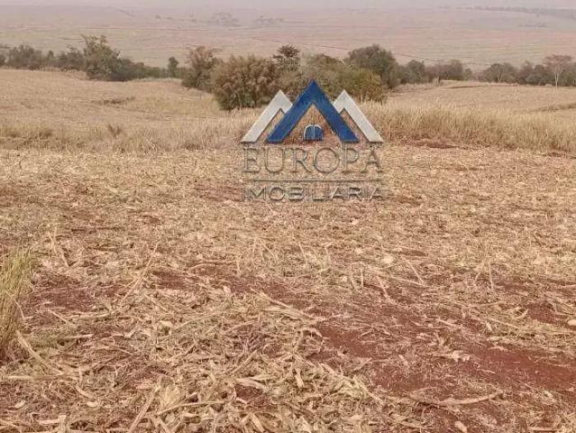 Sítio / Chácara para Venda em Bela Vista do Paraíso/PR Zona Rural
