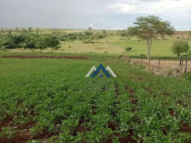 Sítio / Chácara para Venda em Bela Vista do Paraíso/PR Zona Rural