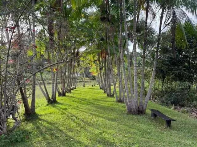 Sítio / Chácara para Venda em Belo Oriente/MG Bom Jesus do Bagre 3 Quartos