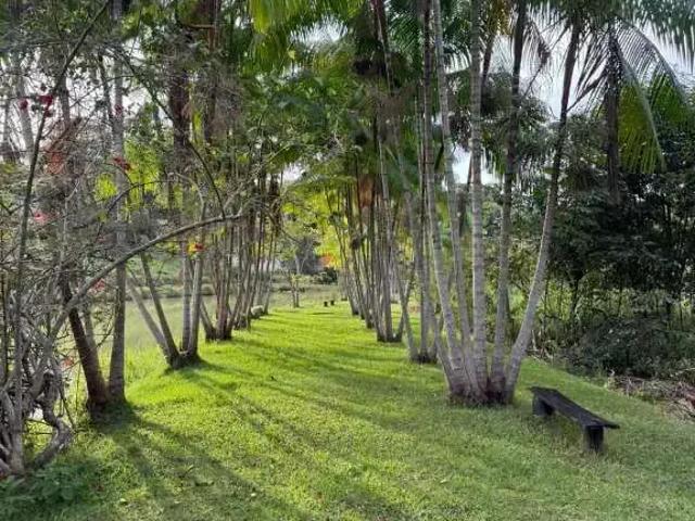 Sítio / Chácara para Venda em Belo Oriente/MG Bom Jesus do Bagre 3 Quartos