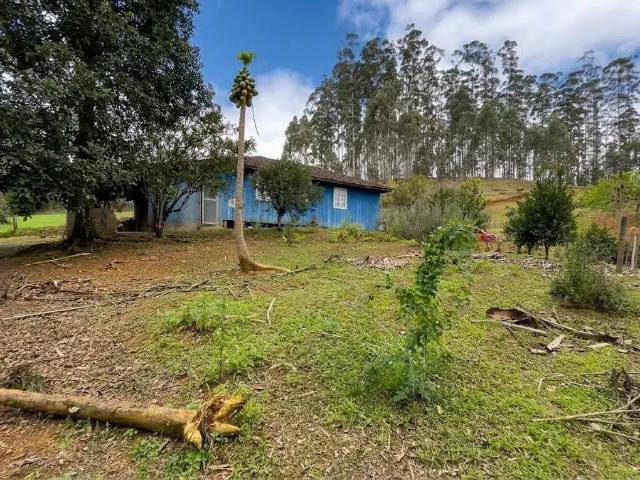 Sítio / Chácara para Venda em Benedito Novo/SC Santa Maria 4 Quartos