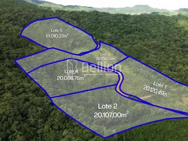 Sítio / Chácara para Venda em Benedito Novo/SC Santa Maria