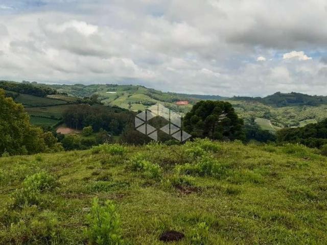Sítio / Chácara para Venda em Bento Gonçalves/RS Barracão