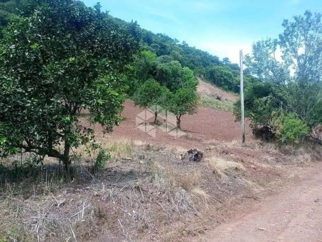 Sítio / Chácara para Venda em Bento Gonçalves/RS Faria Lemos Distrito
