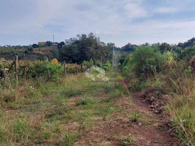 Sítio / Chácara para Venda em Bento Gonçalves/RS Linha Leopoldina 1 Quartos