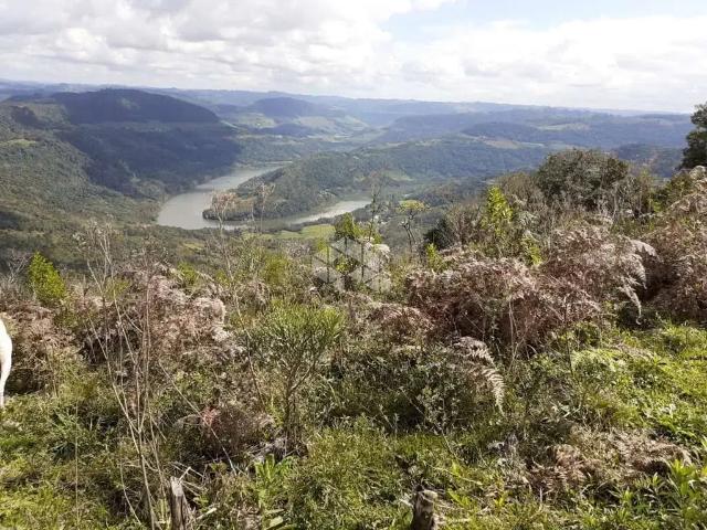 Sítio / Chácara para Venda em Bento Gonçalves/RS São Valentin