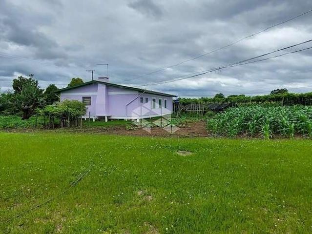 Sítio / Chácara para Venda em Bento Gonçalves/RS Tuiuty Distrito 1 Quartos