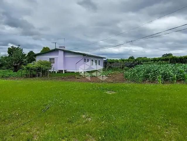Sítio / Chácara para Venda em Bento Gonçalves/RS Tuiuty Distrito