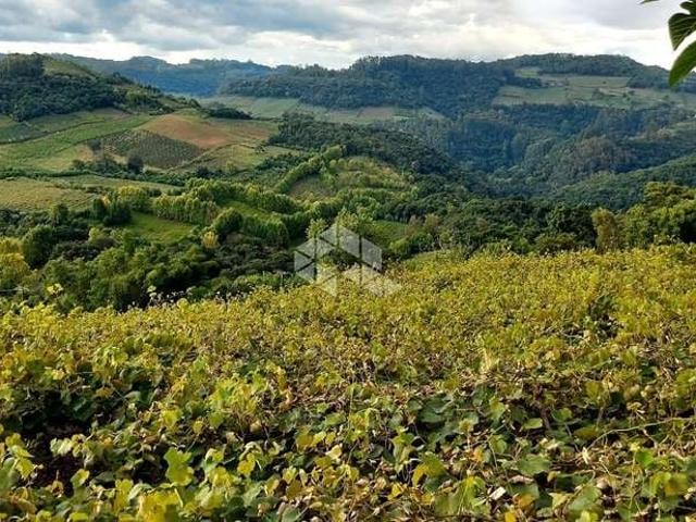 Sítio / Chácara para Venda em Bento Gonçalves/RS Vale dos Vinhedos Distrito 1 Quartos