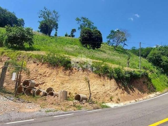 Sítio / Chácara para Venda em Bento Gonçalves/RS Vale dos Vinhedos Distrito 1 Quartos