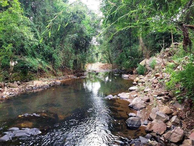 Sítio / Chácara para Venda em Bento Gonçalves/RS Vale dos Vinhedos Distrito