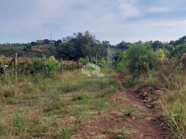 Sítio / Chácara para Venda em Bento Gonçalves/RS Vale dos Vinhedos Distrito