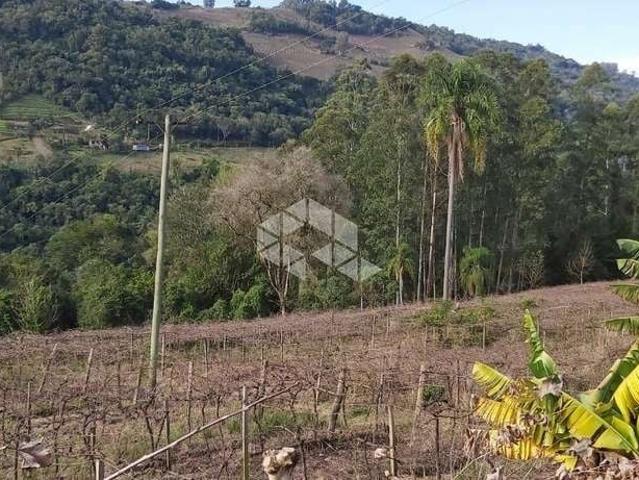 Sítio / Chácara para Venda em Bento Gonçalves/RS Zona Rural 1 Quartos