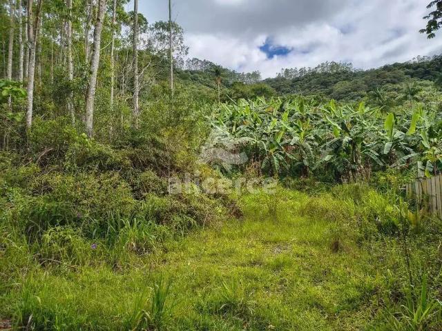 Sítio / Chácara para Venda em Biguaçu/SC Área Rural de Biguaçu