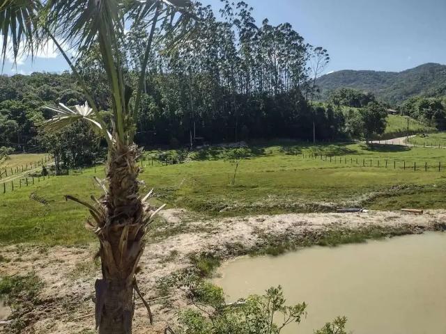 Sítio / Chácara para Venda em Biguaçu/SC Areias de Cima Guaporanga 2 Quartos