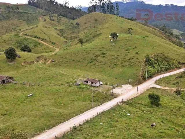 Sítio / Chácara para Venda em Biguaçu/SC Fazenda