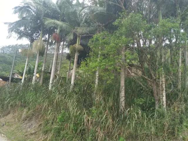 Sítio / Chácara para Venda em Biguaçu/SC Prado 2 Quartos