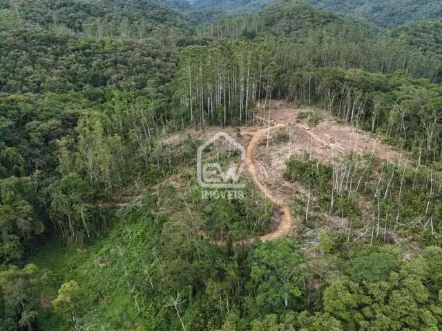 Sítio / Chácara para Venda em Blumenau/SC Vila Itoupava 1 Quartos