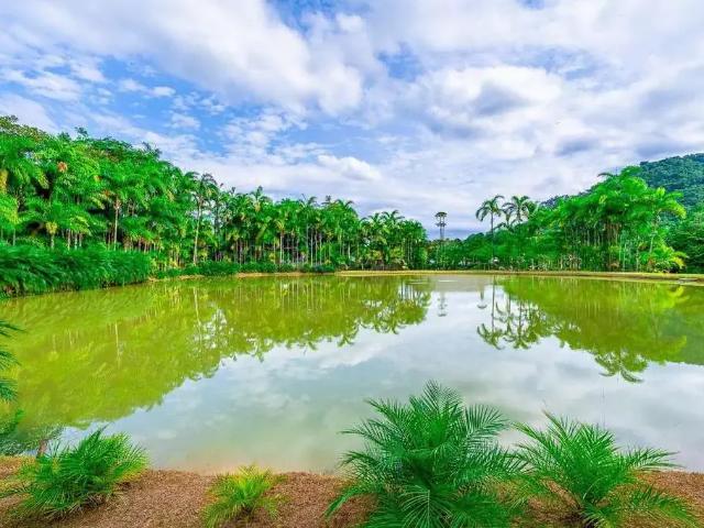 Sítio / Chácara para Venda em Blumenau/SC Itoupava Central 3 Quartos