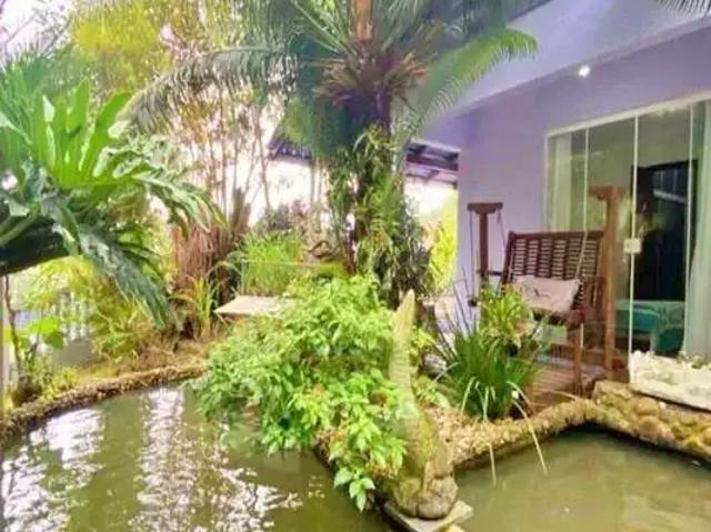 Sítio / Chácara para Venda em Blumenau/SC Progresso