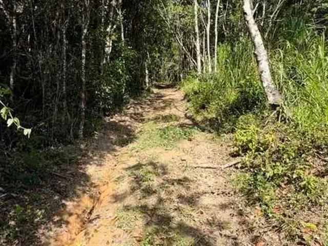 Sítio / Chácara para Venda em Brusque/SC Limeira Baixa