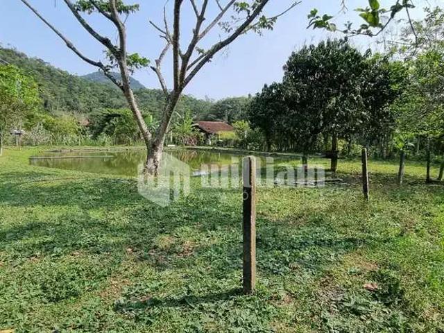 Sítio / Chácara para Venda em Brusque/SC Limeira Baixa