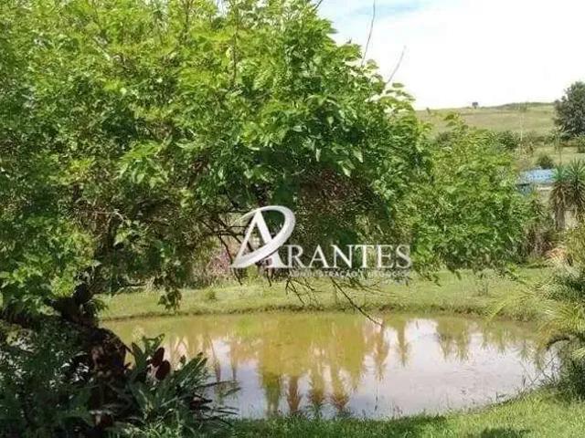 Sítio / Chácara para Venda em Bragança Paulista/SP Bairro do Agudo 5 Quartos