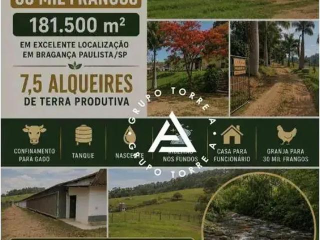 Sítio / Chácara para Venda em Bragança Paulista/SP Curitibanos