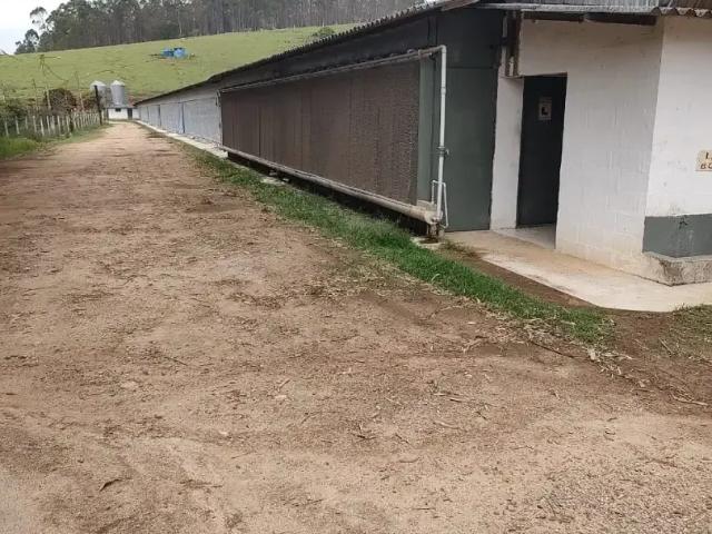 Sítio / Chácara para Venda em Bragança Paulista/SP Curitibanos