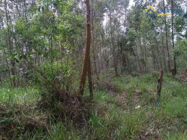Sítio / Chácara para Venda em Bragança Paulista/SP Guaripocaba